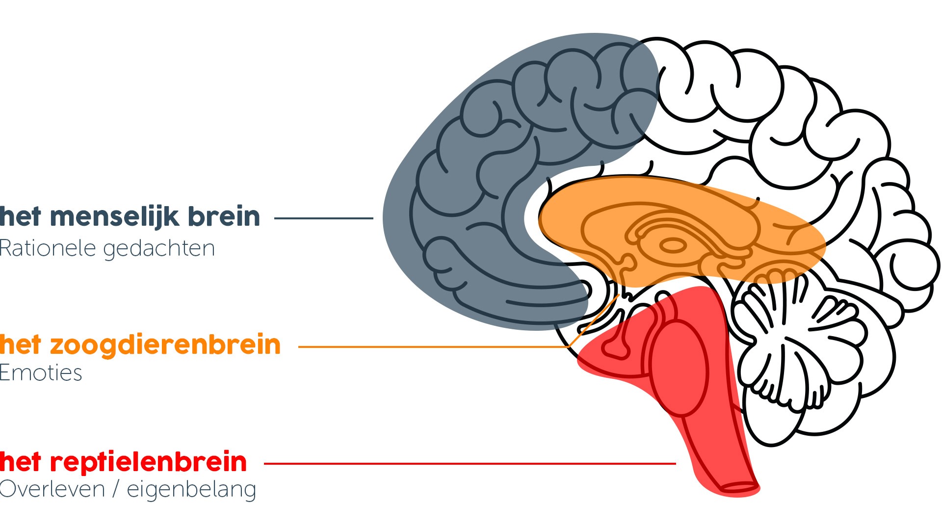 Hoe ontstaat stress? - Het Groei Atelier